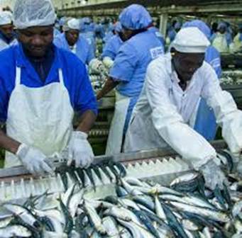 Newswire: ‘Fishrot files’ reveal costly web of bribes from Iceland to ...
