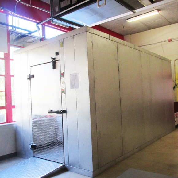 Greene County schools acquire new cafeteria equipment – Greene County ...